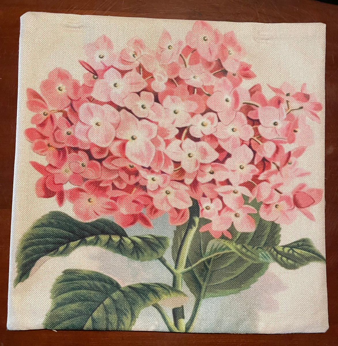 Pink Hydrangea – Rhonda’s PillowTalk